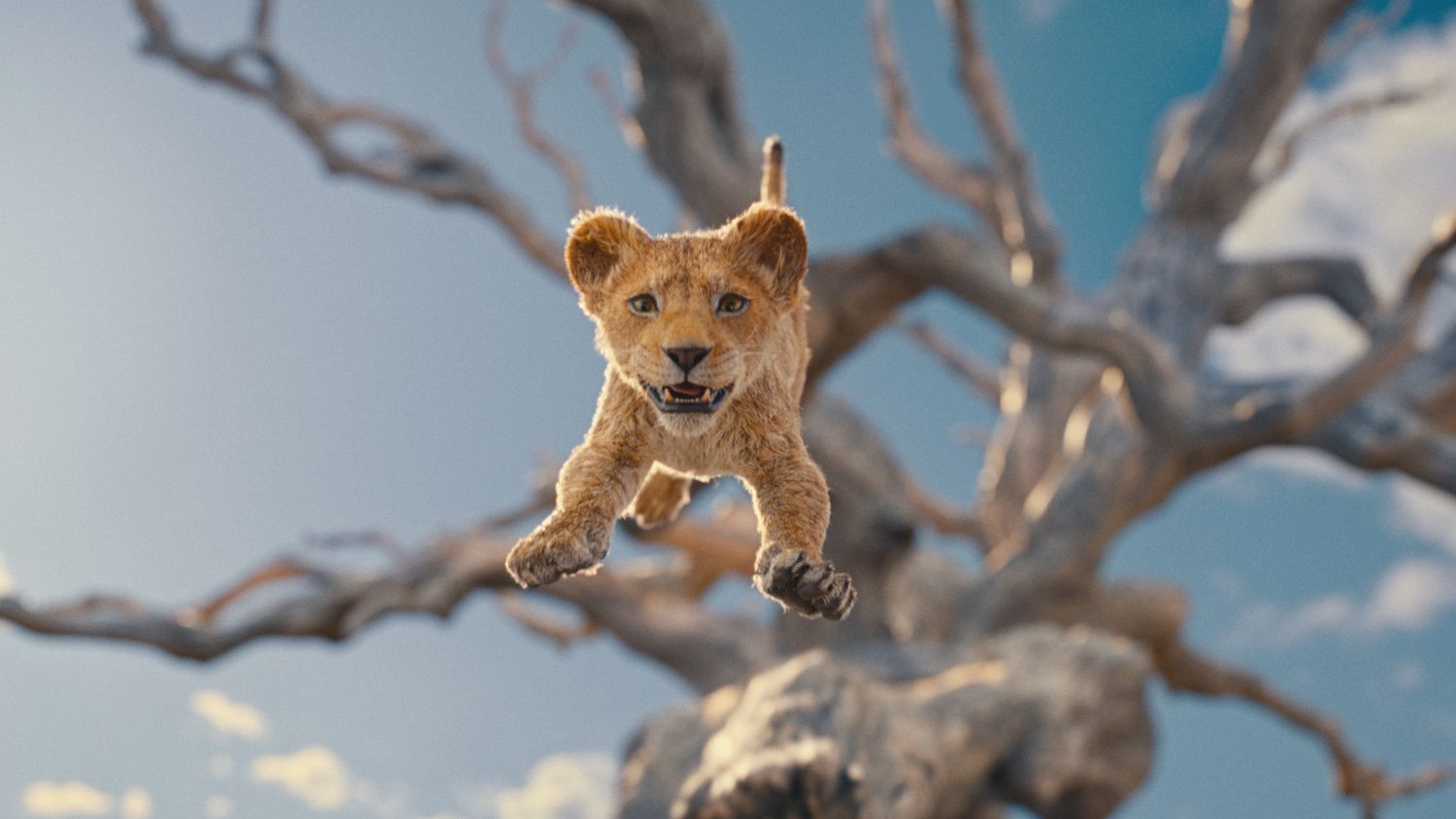 'Mufasa: The Lion King' Teaser: Barry Jenkins Takes Us Back To The ...